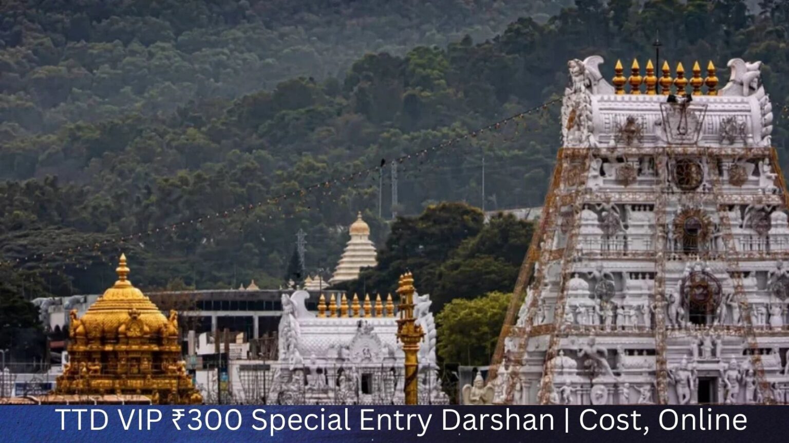 TTD VIP ₹300 Special Entry Darshan 2026 | Cost, Online Booking ...